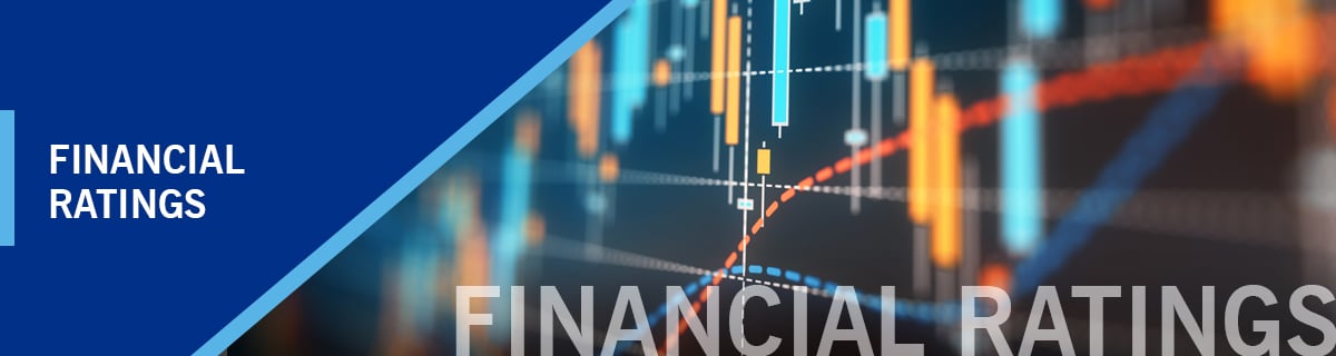 Financial Rating Information | Old Republic Risk Management